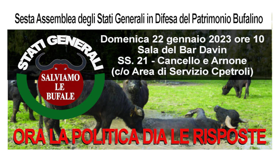 Invito agli eletti e ai sindaci. Tutto pronto per gli Stati Generali ...